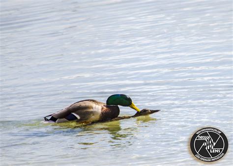 Wet And Wild Through Open Lens