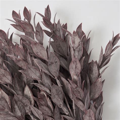 Faux Dark Purple Ruscus Leaf Bush Fall Foliage Bush 15 Darby Creek