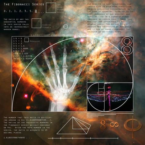 The Fascinating Fibonacci Numbers Fibonacci Fibonacci Spiral Sacred Geometry