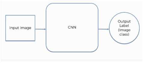 the ultimate deep dive into convolution neural network by soumallya