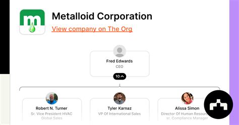 Metalloid Corporation The Org