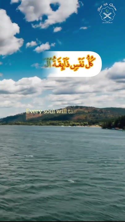 Surah Al Ankaboot By Abdul Rahman Masood With Arabic Text Hd سورة