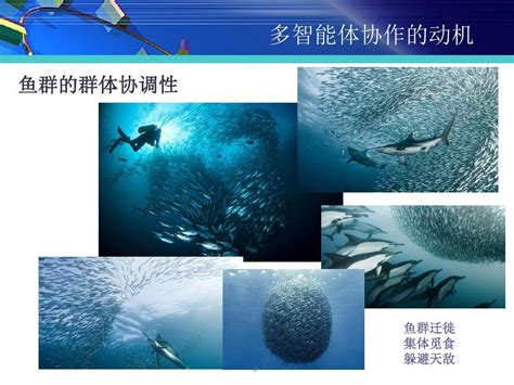 多智能体系统一致性问题概述ppt课件word文档在线阅读与下载无忧文档