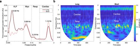 Continuous Wavelet Transforms Of Hbo Signals From Right Middle Frontal