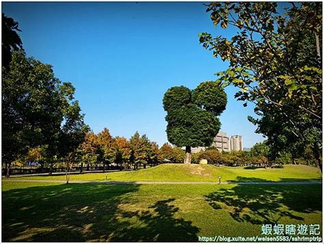 北屯南興公園 米奇樹x落羽松青青草地上竟有美拍打卡的芒果樹 蝦蝦瞎遊記