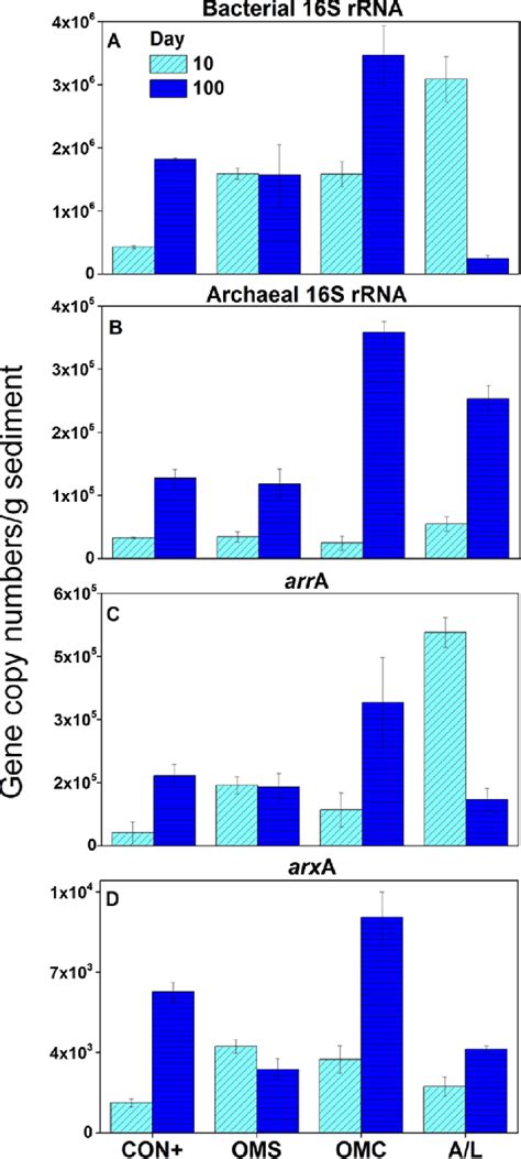 Qpcr Analysis Of A Bacterial 16s Rrna Gene B Archaeal 16s Rrna