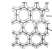 Class 9 Science Case Study Questions MyCBSEguide