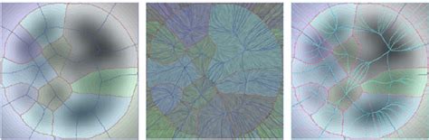 The Scalar Value Based Algorithm 11 Is Applied To A Scalar Field Download Scientific