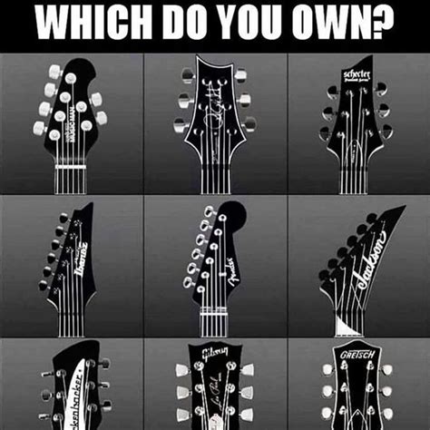 Which One Do You Own 🤔🎸 • Comment Below 👇 • 📸guitarmemes Funny