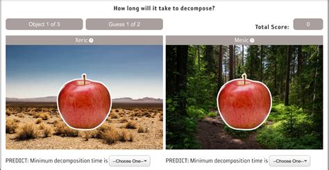 Decomposers Lesson Plan Science Lessons That Rock