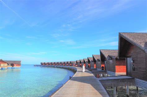 モルディブの青い海と水上コテージに癒される1島まるごとリゾート♪ りとふる