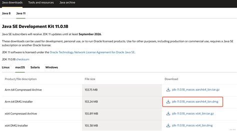 Mac 安装java环境、jdk配置、idea插件推荐mac安装jdk11 Csdn博客