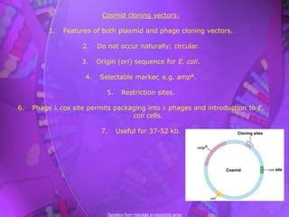 Cloning Vectors Pdf