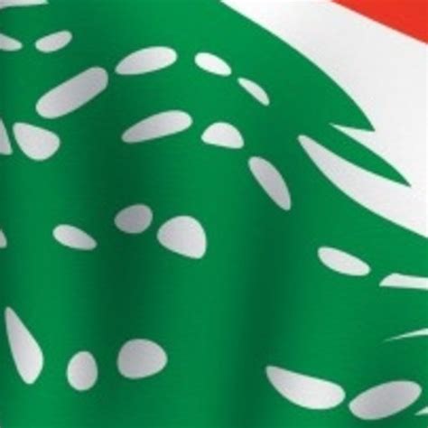 Georges Assaf Professor Assistant American University Of Beirut