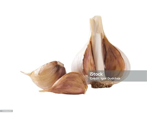 마늘 정향과 전구는 흰색 배경에 고립되어 있으며 피사계 심도가 가득합니다 건강한 식생활에 대한 스톡 사진 및 기타 이미지 건강한 식생활 드레싱 식품 마늘 Istock