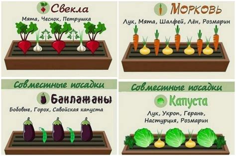 25 важных шпаргалок для садоводов огородников Sustainable Garden