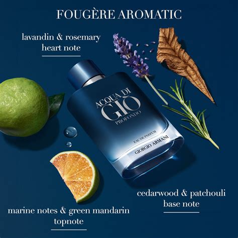 Giorgio Armani Acqua Di Gio Profondo Eau De Parfum 100ml T Set 2024