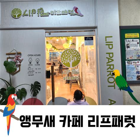 포항 아이랑 가볼만한곳 효자 앵무새 카페 리프패럿 네이버 블로그