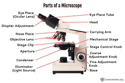 Microscope Ocular Lens Of A