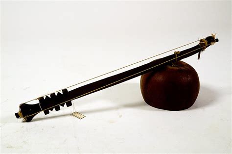 What Instrument Is In Zeze At Lynda Bowman Blog