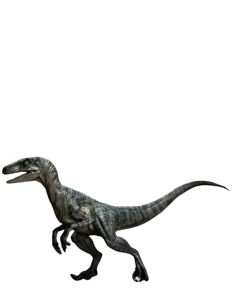 Jurassic World Delta Jinx Collectibles