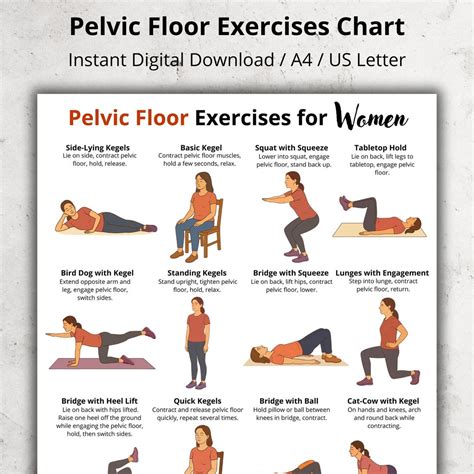 Pelvic Floor Exercises Chart For Women Kegel Exercise Printable