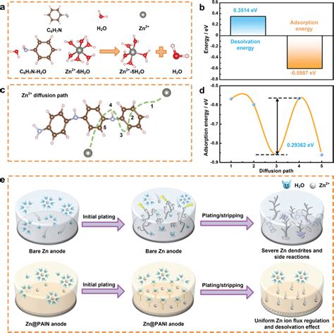 A Schematic Illustration Of NH Adsorption Of H2O And The Desolvation