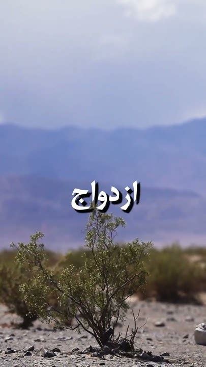 ازدواج کردن فرزند ، روایتی از حضرت محمد ، کتاب تحکیم خانواده Youtube