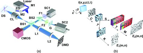 Single Shot Spectral Volumetric Compressed Ultrafast Photography