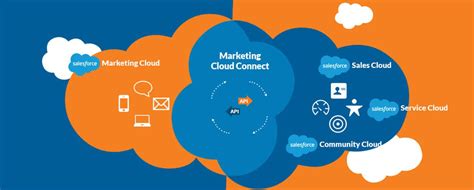 Sitharthan V On Linkedin 🚀 Salesforce Marketing Cloud Subscriber Vs