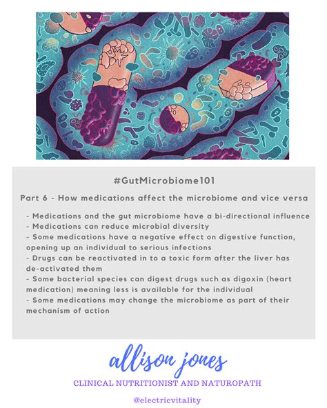 Gut Microbiome 101 Part 6 How Medications Affect The Microbiome And