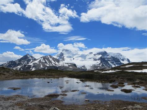 Wilcox Pass Stock Image Image Of Rocks Landscape Pass 67621311