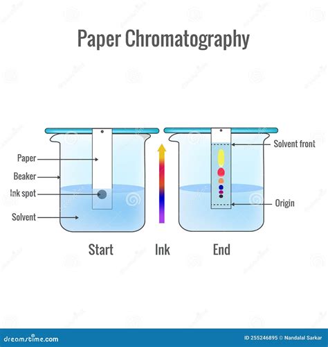 Método Analítico De Cromatografía De Papel Para La Separación De Una