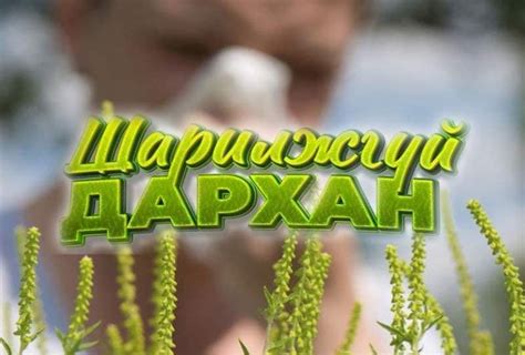 “ШАРИЛЖГҮЙ ДАРХАН” АЯН ЯВАГДАЖ БАЙНА