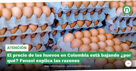 El Precio De Los Huevos En Colombia Està Bajando ¿por Qué Fenavi