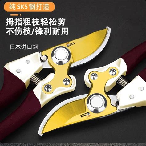 🔥台灣出貨🔥日本進口原裝園藝剪刀園林果樹強力修枝樹枝專用剪花枝剪子粗枝剪 蝦皮購物