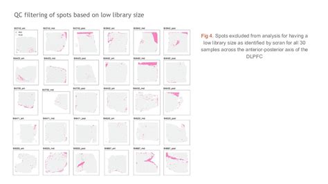 Integrated Single Cell And Unsupervised Spatial Transcriptomic Analysis