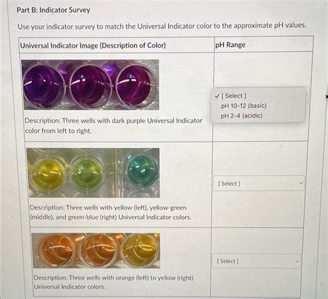 Solved Part B Indicator Survey Use Your Indicator Survey To Chegg Com
