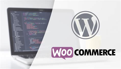 How To Add Custom Fields And Tabs Into Woocommerce Product Data Metabox By Code A White Pixel