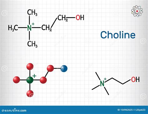 Choline Vitamin Like Essential Nutrien Molecule It Is A Constituent Of Lecithin Structural