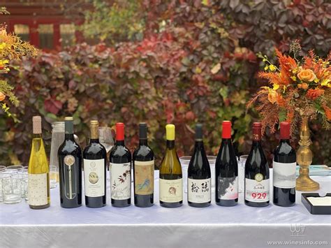 贺兰山东麓葡萄酒成联合国日纪念活动指定用酒葡萄酒资讯网（）