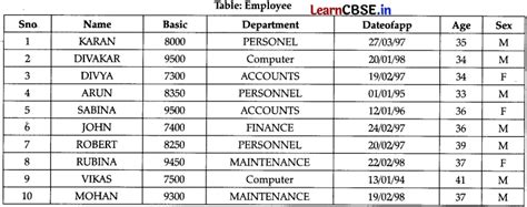 cbse sample papers for class 11 informatics practices set 2 with
