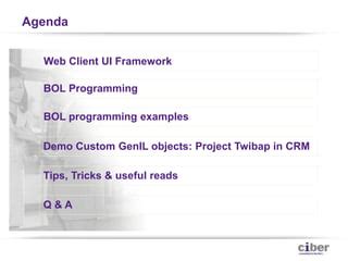 Introduction To BOL Programming PPTX