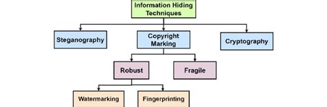 different types of data hiding [17] download scientific diagram