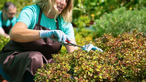 Социалното министерство ще финансира 56 проекта по „Красива България” Новини бг