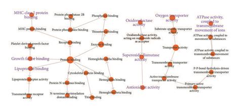 Overlapping Proteins Molecular Functions Bingo Was Applied To Analyze Download Scientific