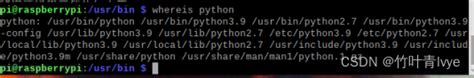 树莓派4b上多版本python切换（一） 在树莓派4上如何安装python2 csdn博客