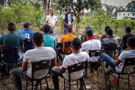 Disidencias Liberan A 18 Personas Que Mantenían Retenidas