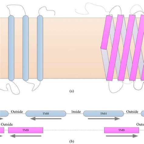 Alignment Accuracy By Using Topology Structure Or Secondary Structure