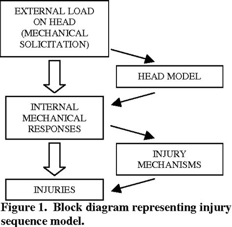 Figure 1 From Development And Validation Of A New Finite Element Model Of Human Head Semantic